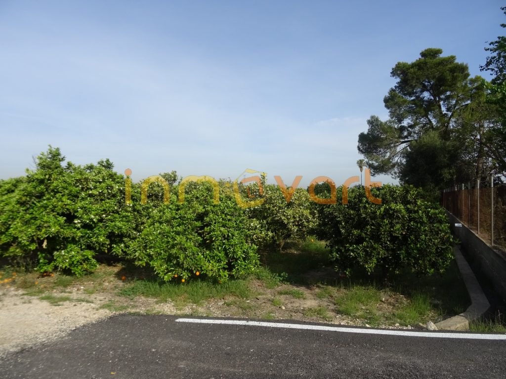 IV-2098 Campo de cultivo en partida El Ori variedad Navelina | Inmovart ...